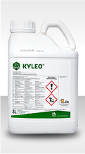 Kyleo