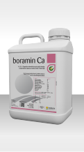 Boramin Ca