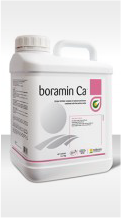 Boramin Ca